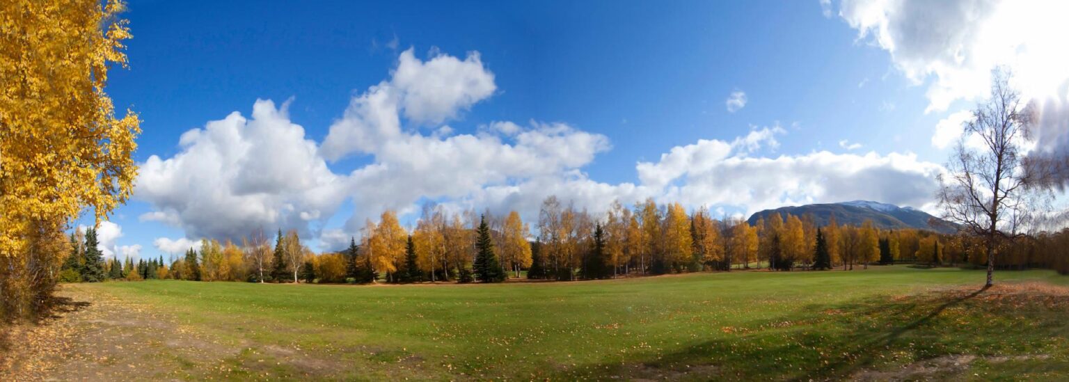 Russian Jack - Russian Jack Community Council